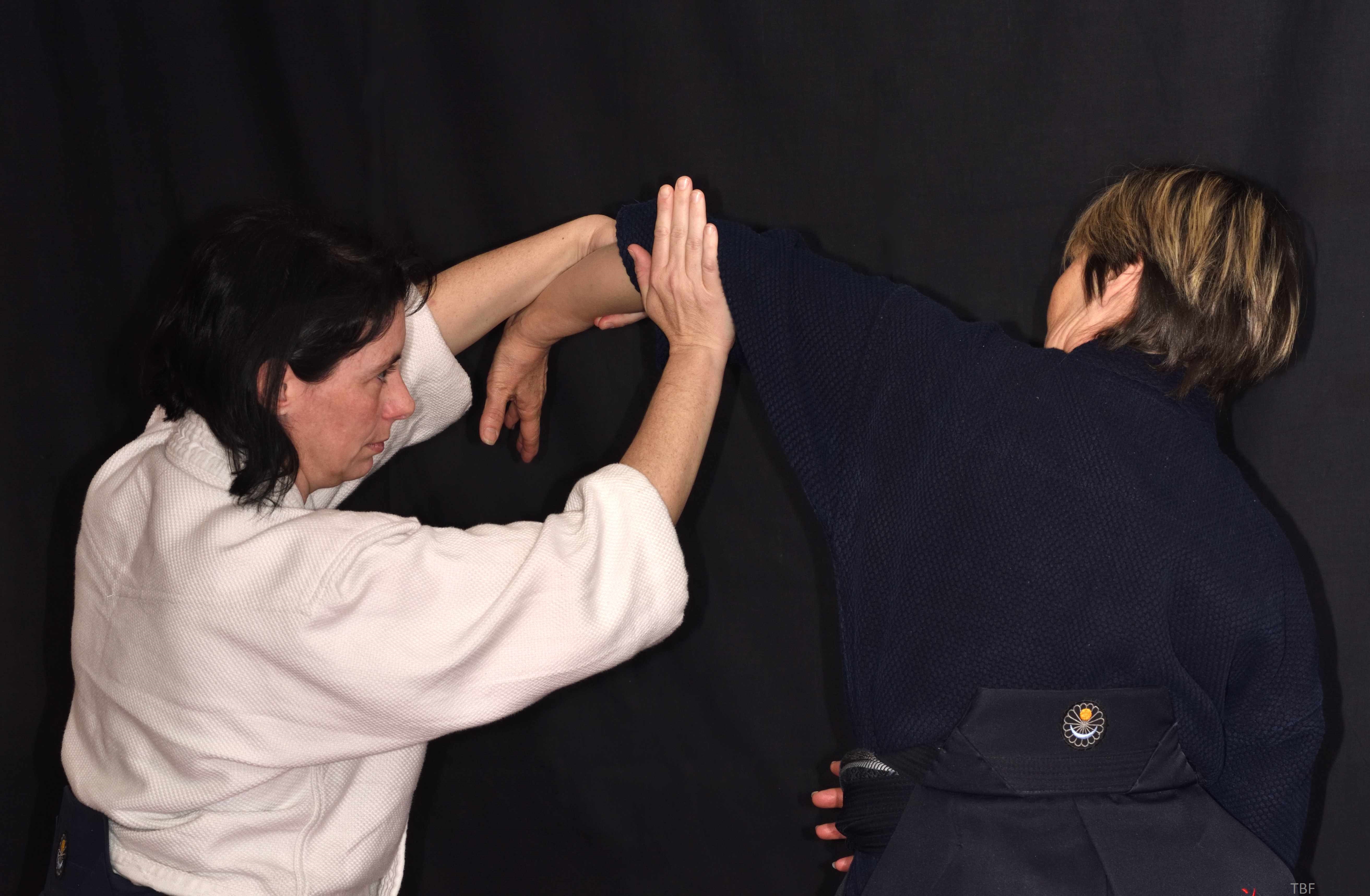 Takeda Ryu Kobilza Ha France